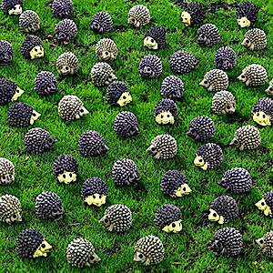 Chunful 50 Pcs Mini Hedgehog Figurines Miniature Fairy Garden Figurines Accessories for Terrarium Flowerpot Landscape Desktop DIY Decor Party Favor Cake Topper Resin Hedgehog Bulk