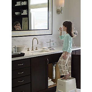 Pentair Everpure SPA-400 Quick-Change Filter Cartridge, EV927091, For Use in Everpure SPA-400 Drinking Water System, 3,000 Gallon Capacity, 0.5 Micron