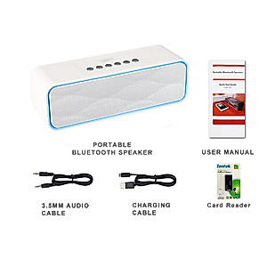 Portable Bluetooth Stereo Speaker, 10W Acoustic Drivers, Dual Subwoofer, FM Radio & Handsfree Speakerphone, Micro SD Card & USB & AUX Slots for Smart Phone, MP3, MP4, iPad, Tablet & More