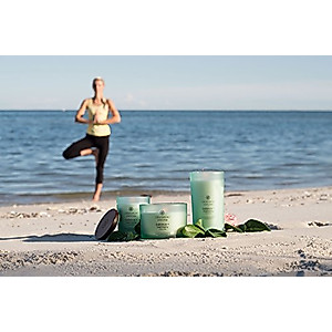 Chesapeake Bay Candle Scented Candle, Balance + Harmony (Water Lily Pear), Medium