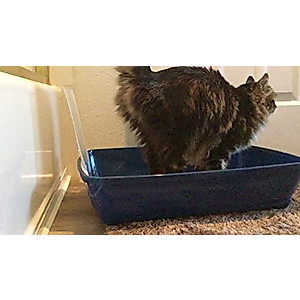 Cat Litter Box Pee Shield - 3 Pack - The Original - Helps Prevent Litter Scatter and Urine from Going Outside of The Litter Box. Wipe Clean in Place or Remove for Cleaning and reattach.
