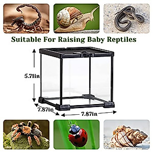 Hamiledyi Mini Reptile Glass Terrarium Tank,8"x8"x6" Hermit Crab Breeding Box Transparent Jumping Spider Enclosure Small Amphibians Habitat Cage for Baby Snake Gecko Lizard Tarantula