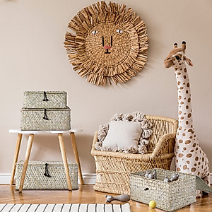 Woanger Set of 4 Seagrass Basket with Lids Rattan Wicker Storage Basket Handwoven Decorative Storage Boxes with Lids Multipurpose Woven Basket Bins for Shelf Closet (White)