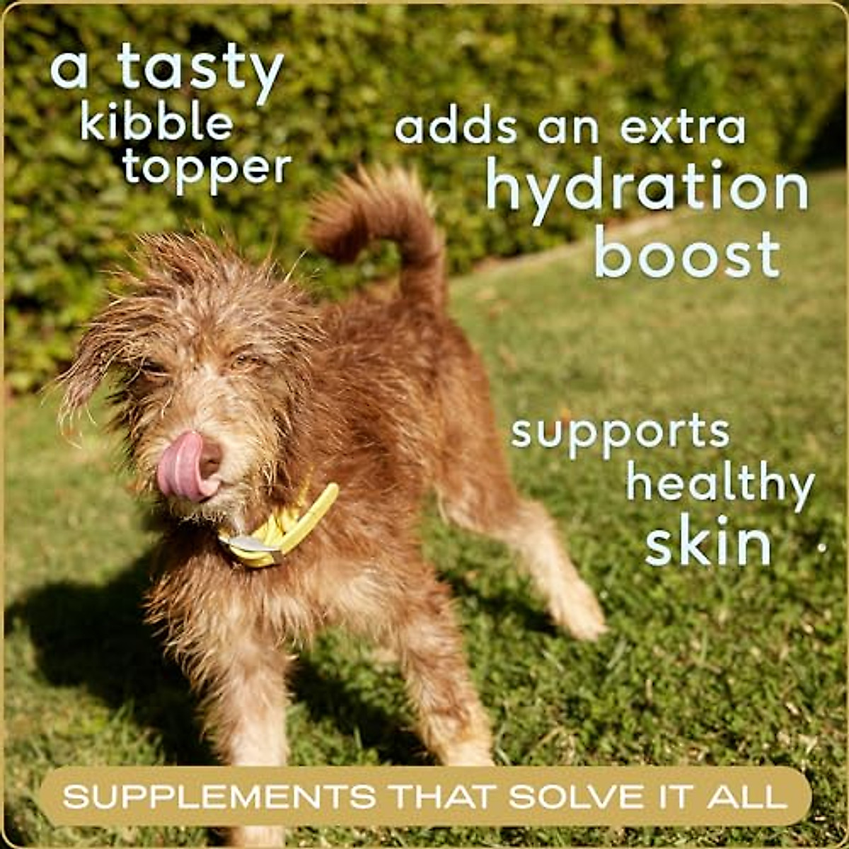 Native Pet Bone Broth for Dogs & Cats – Dog Bone Broth Powder - Dog Food Topper for Picky Eaters – Cat Broth & Dog Broth - Puppy Dog Gravy Topper for Dry Food – Beef Broth for Dogs & Cats – 9.5 oz