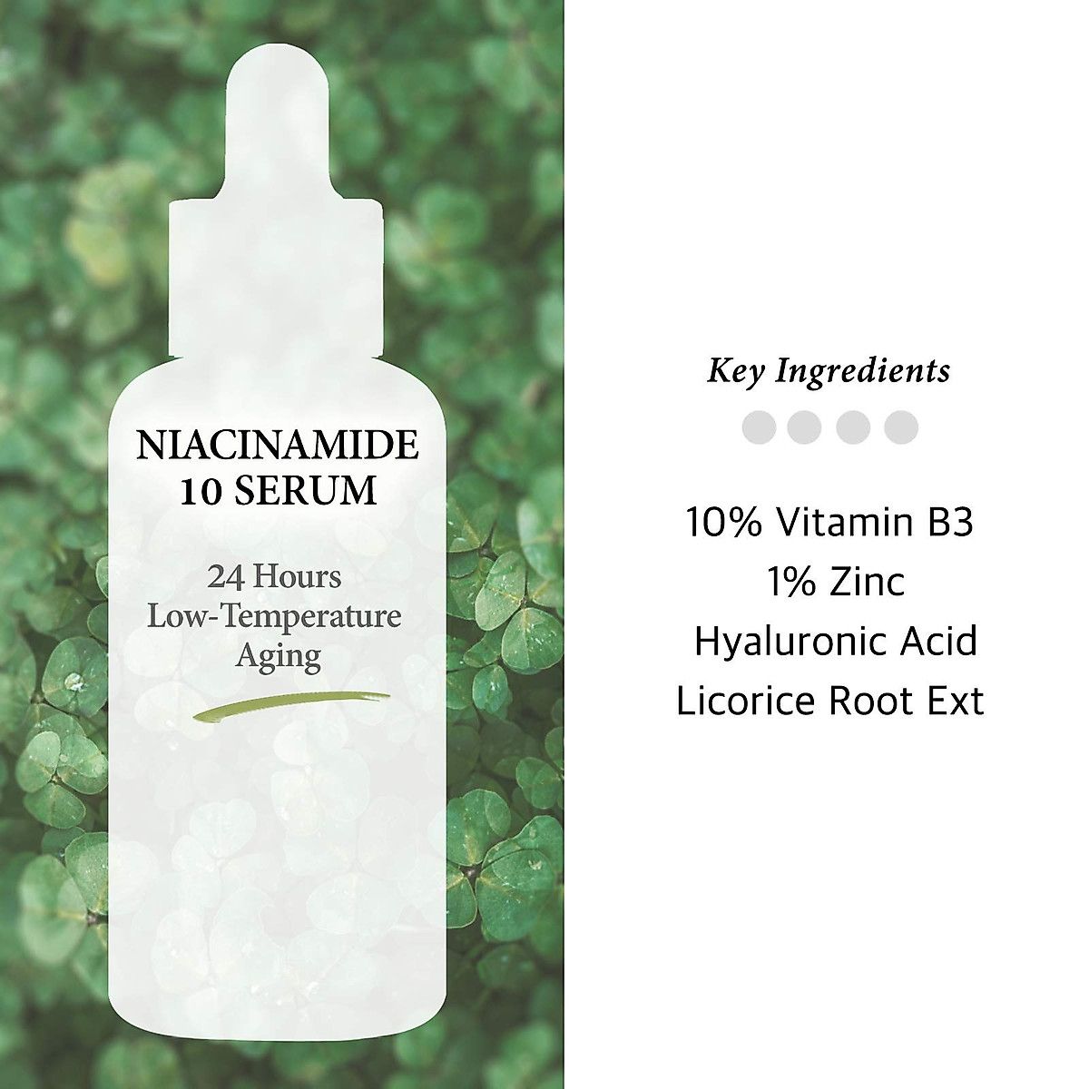 Niacinamide 10% + Zinc PCA 1% Serum for Face - Pore Reducer + Uneven Skin Tone Treatment + Diminishes Acne Prone, Skin Balancing Pore Reducing, Restores Elasticity, 2 Fl Oz