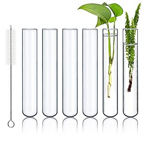 HUAOU 6pcs 100ml Large Glass Test Tube, 30x200mm Propagation Tube for Plant, 3.3 Borosilicate Clear Big Glass Test Tube Vase for Scientific Experiments Party Office Desktop Flower Decoration Wedding