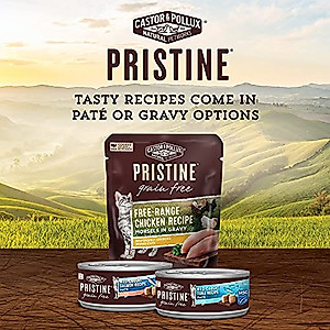 PRISTINE Grain Free Wild-Caught Salmon Recipe Pate Wet Cat Food - (24) 3 oz. Cans