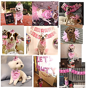 Dog Birthday Party Supplies, Dog Birthday Decorations Girl, Lets Pawty Balloons Banner, Hat Bandana Tutu Skirt for Small Medium Girl Dogs