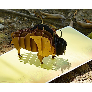 CUTPOPUP Birthday Card Pop Up, Fathers Day Card, 3D Greeting Card (Bison)