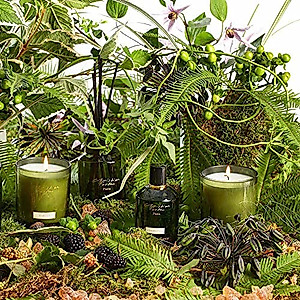 Christian Tortu foret Candle