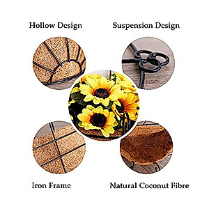 Metal Hanging Planter Basket with Coco Coir Liner Wall Mount Wire Plant Holder for Indoor Outdoor Garden Porch and Balcony (2 Pack) (10 inch)