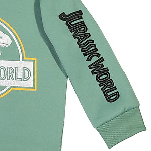 Jurassic World Dinosaur Big Girls Fleece Pullover Hoodie Black/Green 10-12