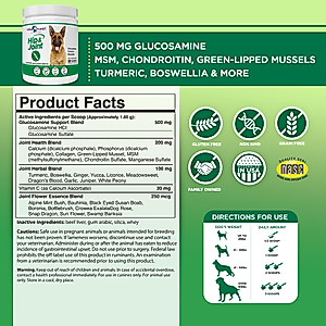 Vital Planet - Hip and Joint Support Powder Supplement for Dogs, with Glucosamine, Turmeric, Boswellia, MSM, and Collagen from Green-Lipped Mussel - Beef Flavored Powder, 60 Scoops, 111 Grams