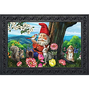 Briarwood Lane Garden Gnome Spring Doormat Birds Floral Indoor Outdoor 30" x 18"