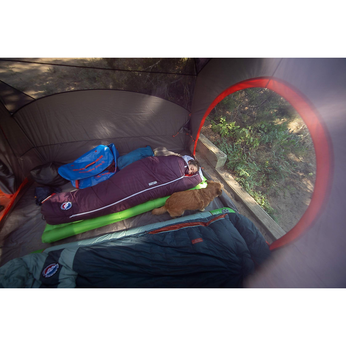 Big Agnes Women's Sidewinder Camp 20 Sleeping Bag (FireLine Eco) Petite