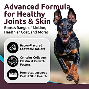 K9 Select Joint Support for Dogs with BiovaPlex - Glucosamine Alternative - 90 Chewable Tablets - Dog Joint Supplement for Mobility & Flexibilty - Hip & Joint Supplement Dogs Promotes Overall Health