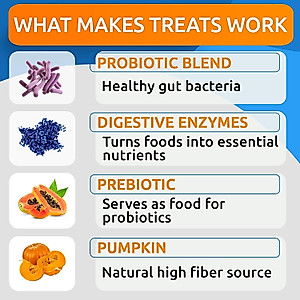 Allergy Relief + Probiotics & Digestive Enzymes for Dog - Allergies & Itchy Skin + Gut Health - Pet Diarrhea Gas Treatment, Upset Stomach Relief Pills, Digestion Health Prebiotic Supplement