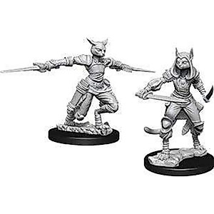 D&D Nolzurs Marvelous Unpainted Miniatures: Wave 9: Female Tabaxi Rogue