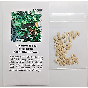 David's Garden Seeds Cucumber Slicing Spacemaster 9321 (Green) 50 Non-GMO, Heirloom Seeds
