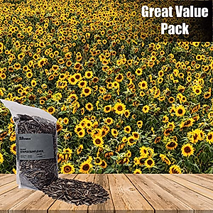 Old Potters Wildlife Striped Sunflower Seeds 3 lbs for Birds and Wildlife, Non-GMO & USA Grown, Attracts Birds (3 Pounds)