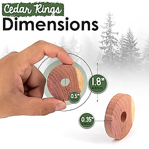 ecoKiwi Cedar Blocks for Clothes Storage - 55 Pack Cedar Rings - 100% Natural Aromatic Cedar for Closets & Drawers - Red Cedarwood Oil Scented Chips with Sandpaper - Cedar Planks Freshener Deodorizer