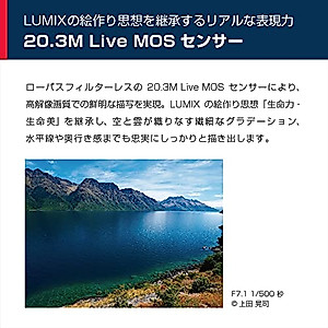 Panasonic DC-G99D [LUMIX G99D Body Four Thirds Sensor Mirrorless Camera] 20.3MP Zoom Lens Kit Shipped from Japan Released in 2022