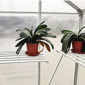 TPSHKE Greenhouse Shelves, 4-Pack 23.62x15 inch Heavy Duty Greenhouse Shelf Kits, White