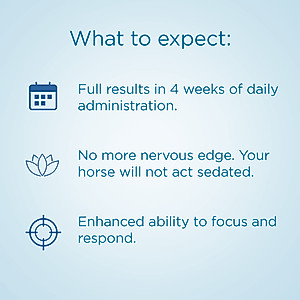 Formula 707 Calming Equine Supplement 10LB Bucket – 80 Servings – Anxiety Relief and Enhanced Focus for Horses – L-Tryptophan, Thiamine & Magnesium