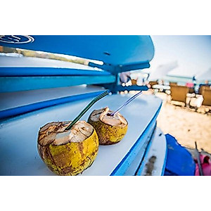 Hummingbird Glass Straws 9 inches x 9.5mm Bent Havana Heat 4 pack of Teal, Ocean Blue, Lime, and Mango - Made With Pride in USA