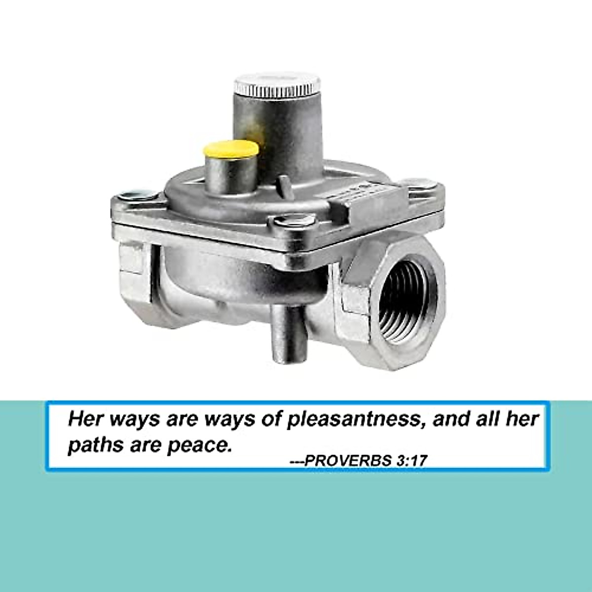 Guofulda 1/2'' Natural Gas Regulator, Inlet Pressure:1/2’’ PSIG, Outlet Pressure LPG 5" W.C, 1/2"-14NPT Grill Regulator for NG Gas Low Pressure Regulator with Gas Line Thread Tape