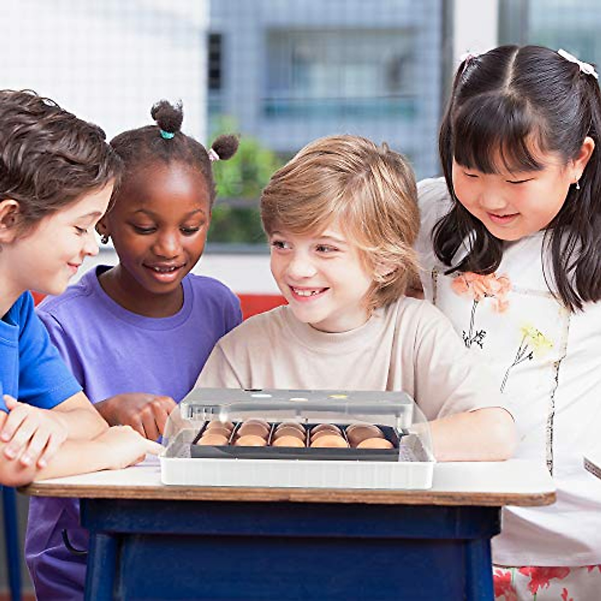 Jumbl Clear Egg Incubator, Fully Automatic Digital Poultry Hatching Machine, Temperature Control & Automatic Egg Turner, LED Candler, Mini 12-35 Egg Incubator Breeder for Chicken, Ducks & More