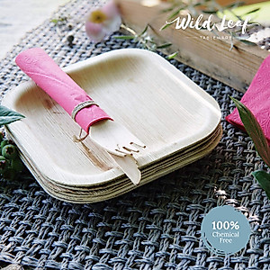 Disposable Palm Leaf Plates 6 Inch / 25 Pack. All Natural Compostable, Biodegradable and Eco Friendly Dessert Party Plates - Comparable to Bamboo or Wood - Great for Outdoor Parties, Weddings and BBQs