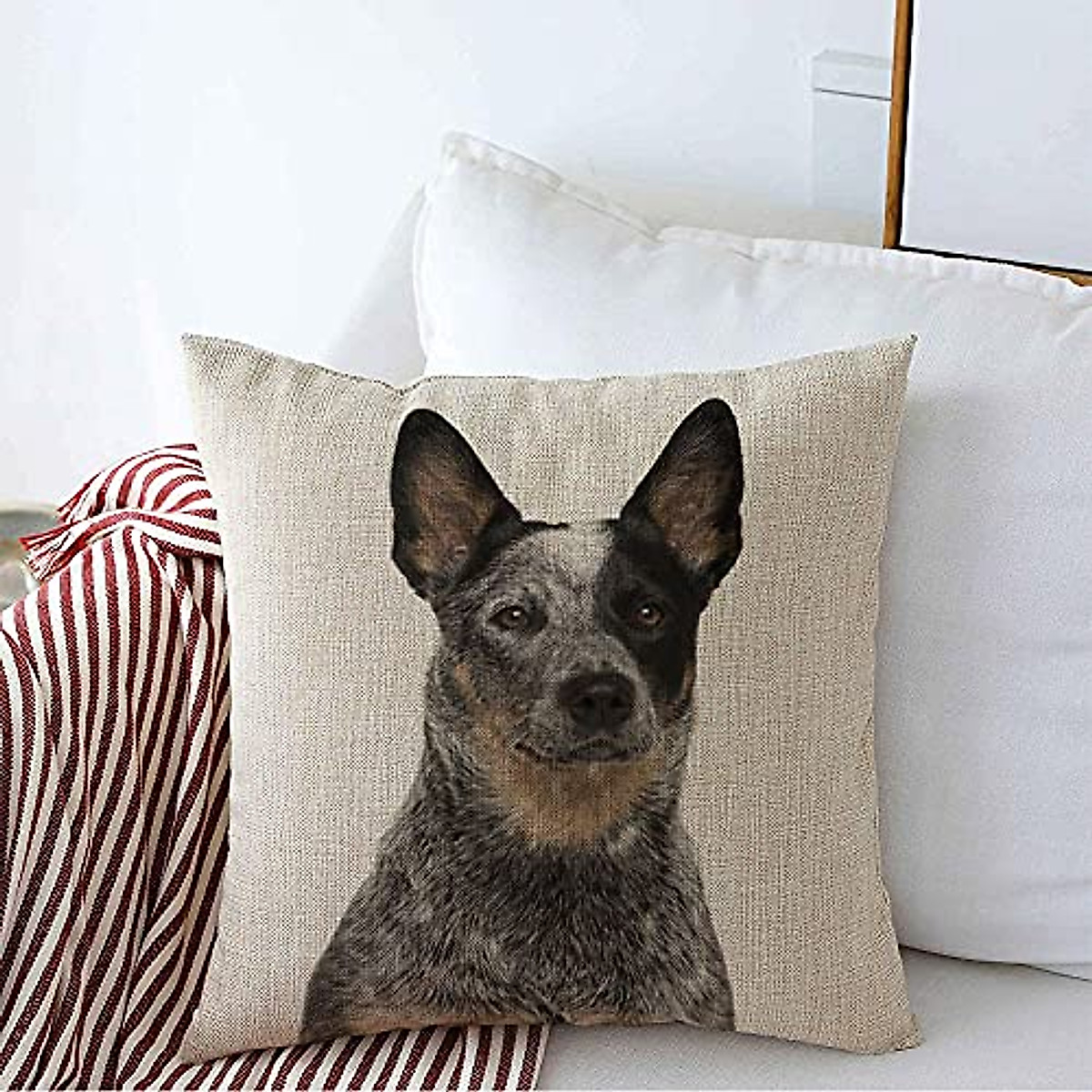 Mmordowr Decorative Throw Pillow Cover Square Pillowcase Linen Brown Away Closeup Australian Cattle Dog Front White Animals Wildlife Black Canine Carnivore Cut Cushion Case for Sofa Car 16x16 Inch