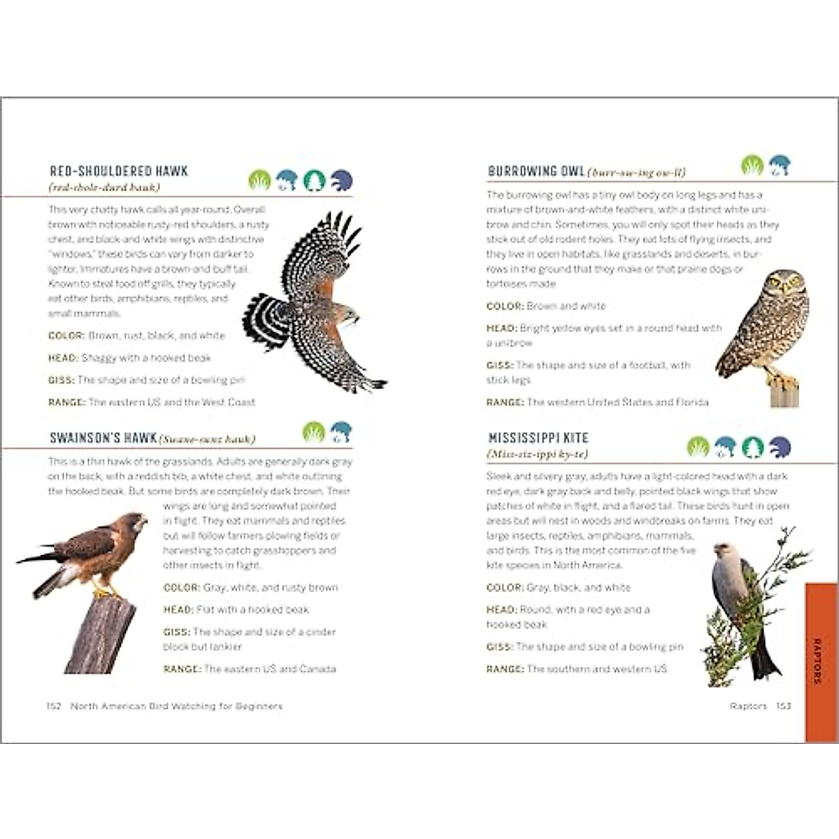North American Bird Watching for Beginners: Field Notes on 150 Species to Start Your Birding Adventures