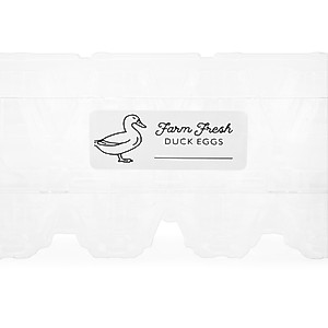 Cornucopia Duck Egg Cartons (8-Pack); Plastic Jumbo Egg Containers for Duck and Turkey Egg Storage