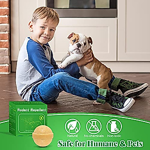 Natural Rodent Repellent, 12 Pack Mouse Repellent to Repel Mice and Rats, Mole Repeller for Car Campers Home Kitchen Garden Outdoors Indoor Garage, Pet Safe