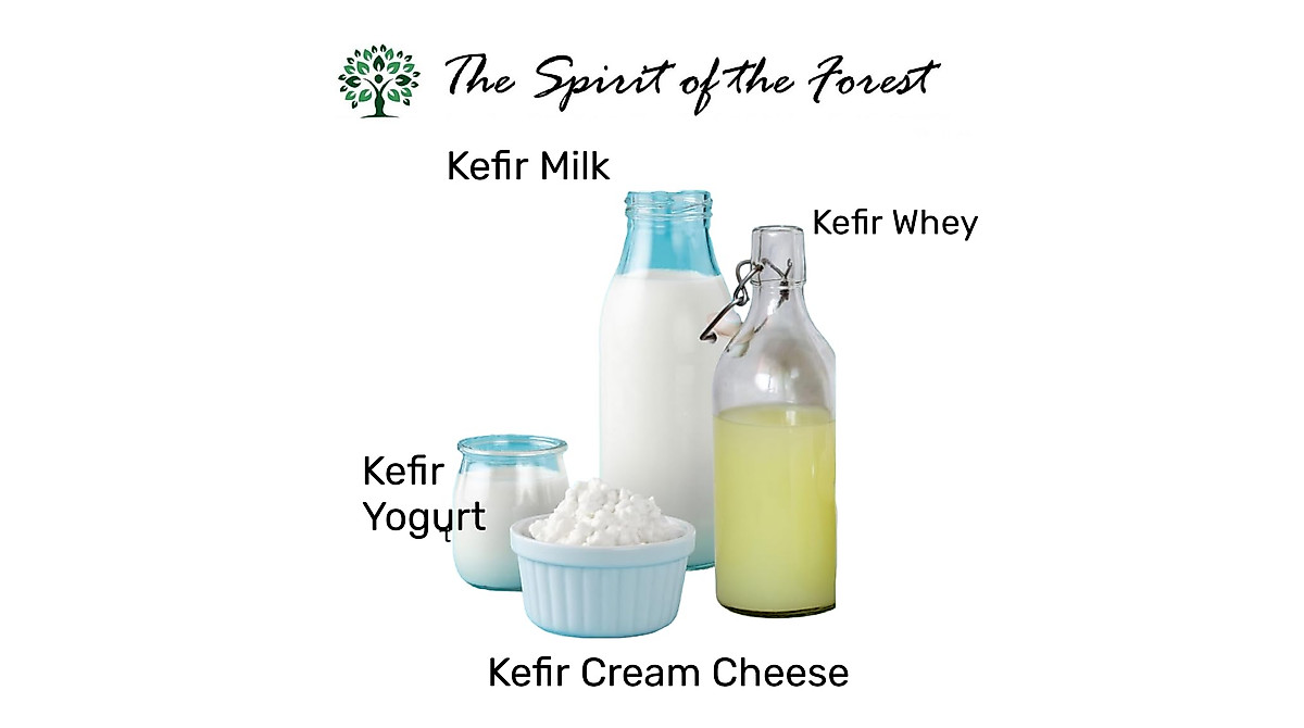 Buy Fresh Milk Kefir Grains for Homemade Fermentation | The Spirit Of ...