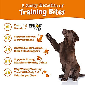 Zesty Paws Training Treats for Dogs & Puppies - Hip, Joint & Muscle Health - Immune, Brain, Heart, Skin & Coat Support - Bites with Fish Oil with Omega 3 Fatty Acids with EPA & DHA - PB Flavor - 12oz…