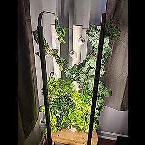 HAZOULEN Small Garden Plastic Net Cups Pots Fits in 2 Inch Holes, Set of 40