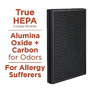 AprilAire RF09550A Allergy True HEPA Air Purifier Replacement Filter for AprilAire Room Air Purifier Model 9550, Captures Allergens & Odors, Ozone