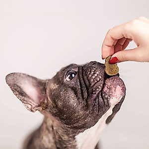 KONG - Dog Soft Chew for Skin and Coat - with Omega-3 Fatty acids, Vitamin E and zinc - 28 Count