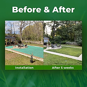 Growtrax Biodegradable Grass Seed Mat, Year Round Green - 50 Sq Ft Quick Fix Roll - Growing Solution for Lawns, Dog Patches and Shade - Just Roll Water & Grow -Not Fake or Artificial Grass