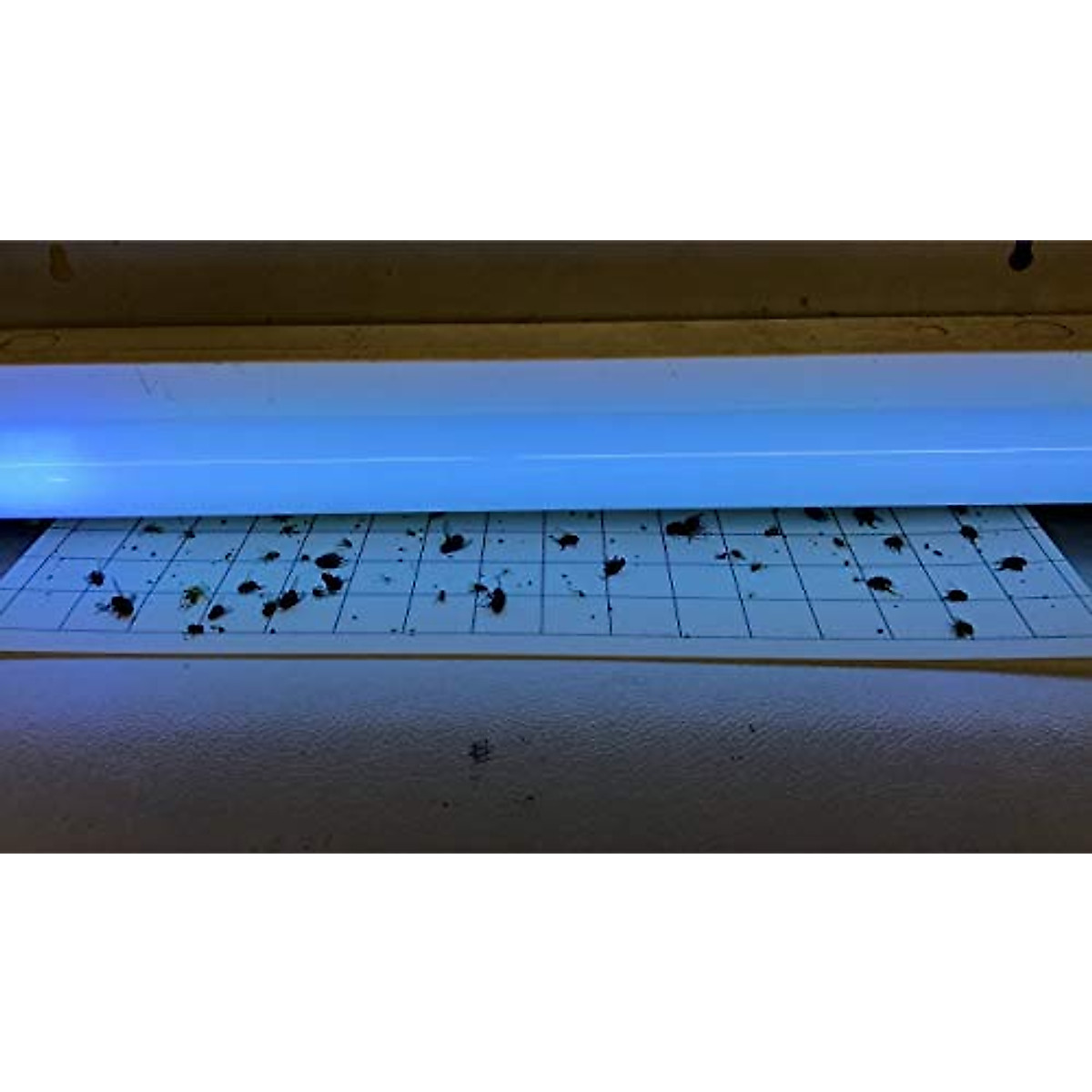 5"x 22" 24 Pack, Fly Light, Insect Light Trap Replacement Glue Boards with 1" Grid