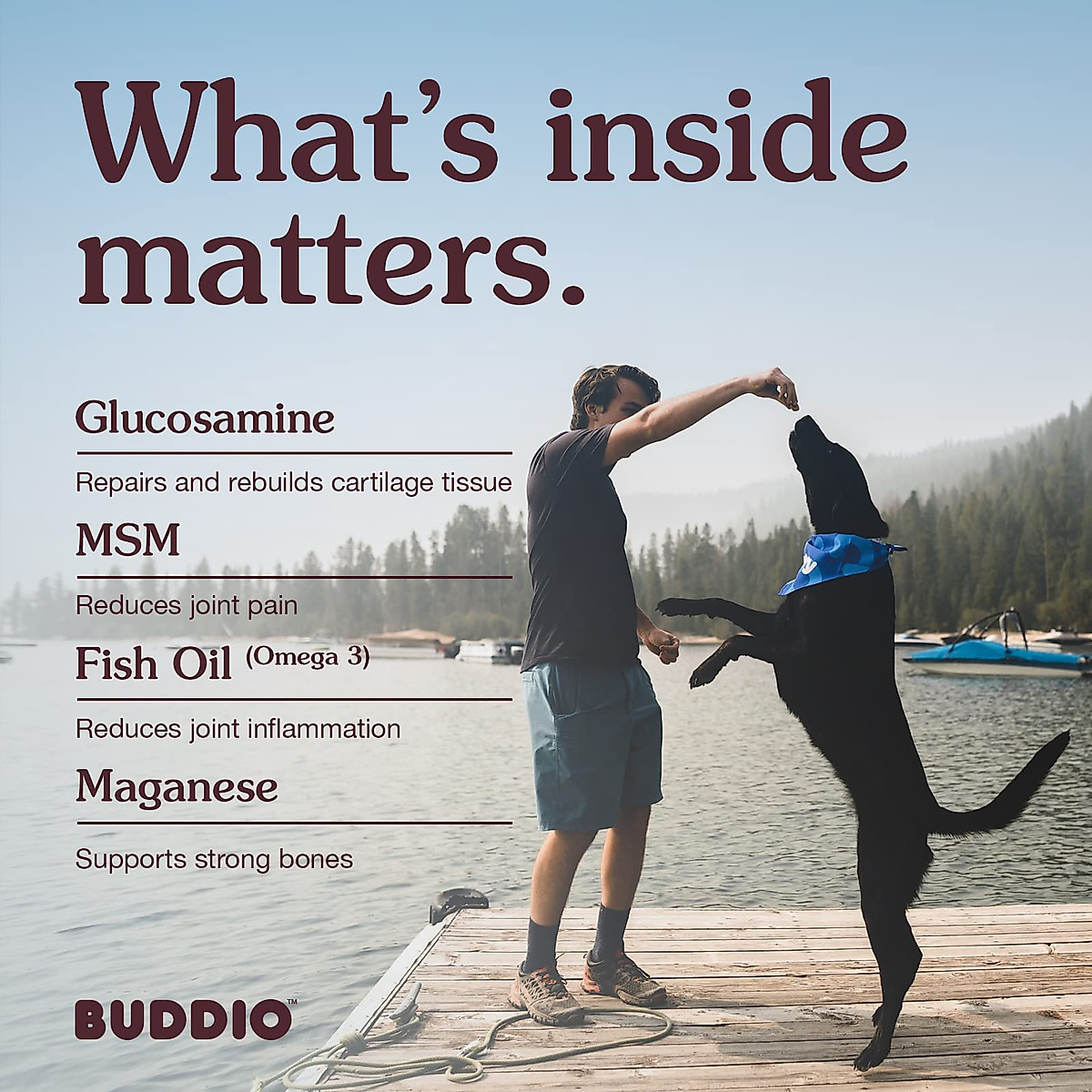 BUDDIO Advanced Hip & Joint Dog Supplement – High-Potency Glucosamine, Fish Oil, Vitamin E, Manganese – Tasty Chicken Liver Flavored Soft Chews, 90 Count – Vet Recommended for Enhanced Mobility