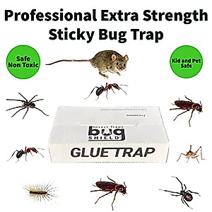 Bug Shield Sticky Glue Traps 72 Glue Boards, All Types of Incets, Spiders, Cockroaches, Ants, Cave Crickets, and More. Professional Strength Glue.