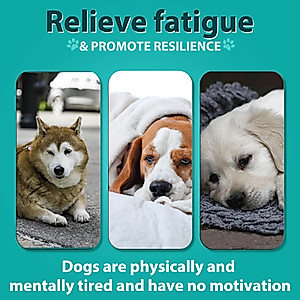 Bieyoc Calming Chews for Dogs, Pet Care Calming Chews for Dogs, Natural Ingredients Calming Dog Treats (Chicken)