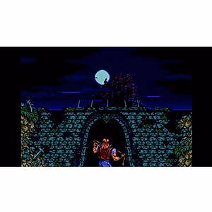 Castlevania Anniversary Collection - Limited Run #405 - PlayStation 4