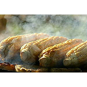 SPARTA 4002600 Stainless Steel Grill Brush, Grill Scraper With Long Handle For Commercial Cleaning, Kitchens, Restaurants, Bathrooms, 30 Inches, Brown