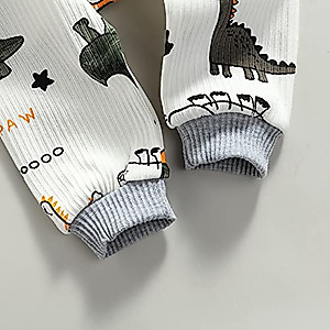 Ledy Champswiin 2pcs Winter Newborn Baby Boy Clothes Infant Cute Dinosaur Print Outfit Ribbed Cotton Long Sleeve Tops Pants Set (Dinosaur White, 0-3 Months)