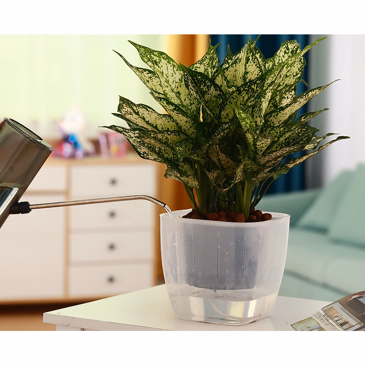 6-Pack Clear Self Watering Planters for Indoor Plants 7" Large African Violet Plant Pots Plastic Wick Flower Pots with Water Injection Hole, Orchid Plant Pot Set, Clear